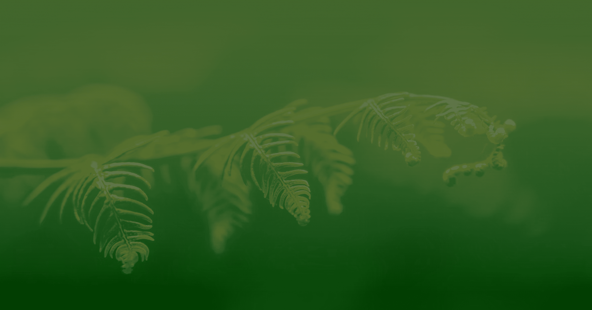Kepler Cheuvreux announce its membership of the IIGCC | Kepler Cheuvreux